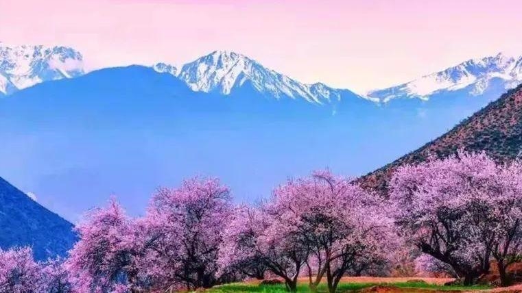 Center.top - Bringing You the Authentic Sichuan